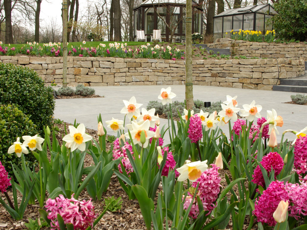 Garten Und Landschaftsbau Essenfeed
