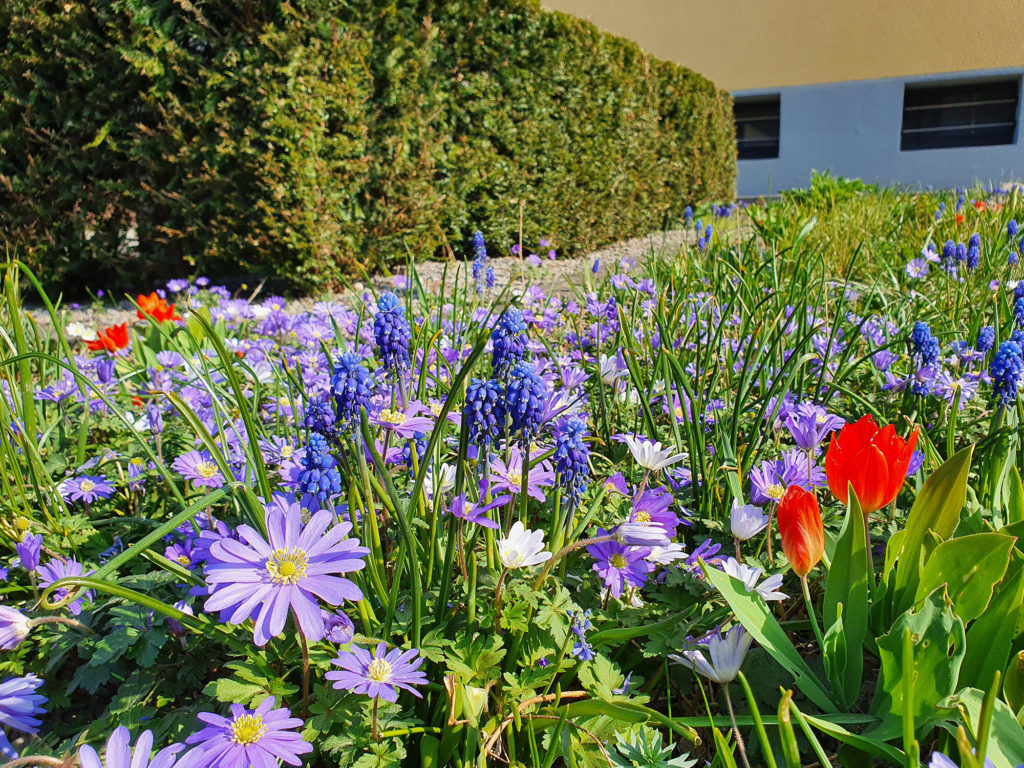 Garten Und Landschaftsbau Essenfeed